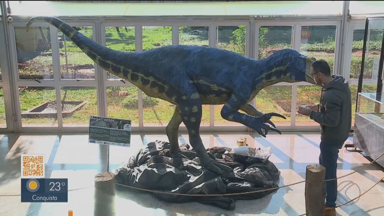 Escultura em tamanho real de Megaraptor é exibida no Museu dos ...