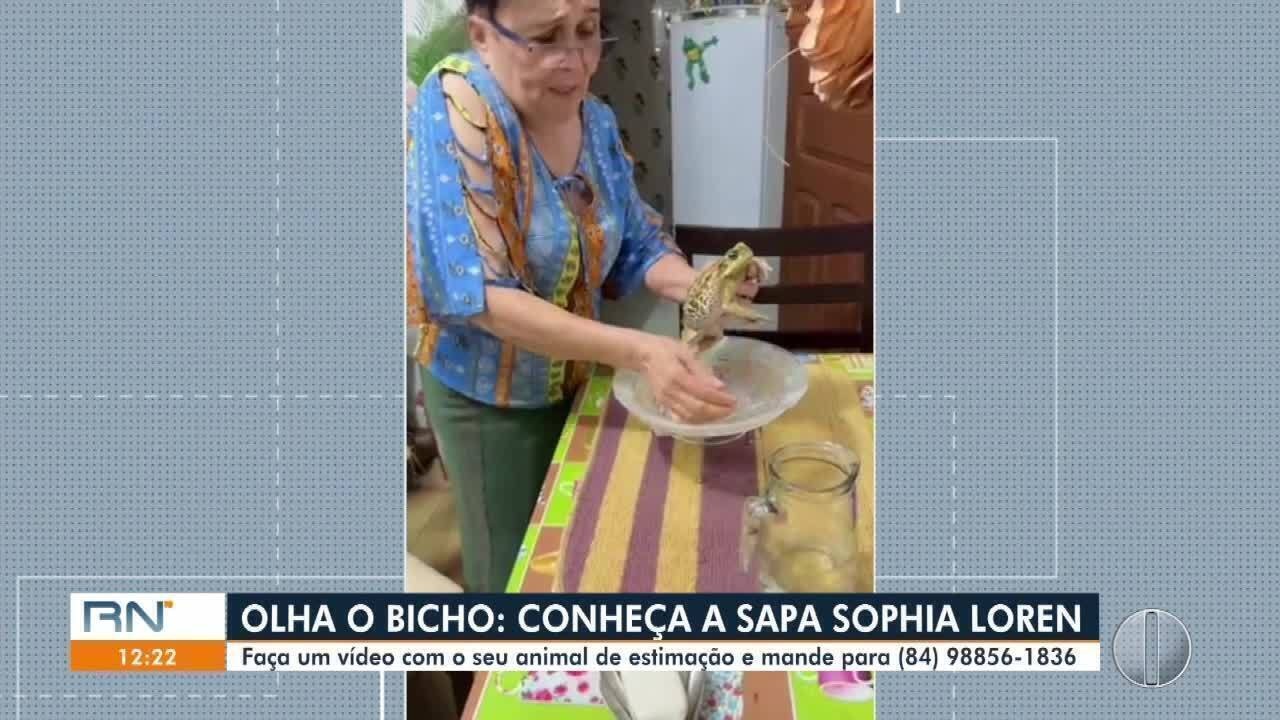 Idosa 'adota' sapa que entrava na casa dela todos os dias, batiza de ...
