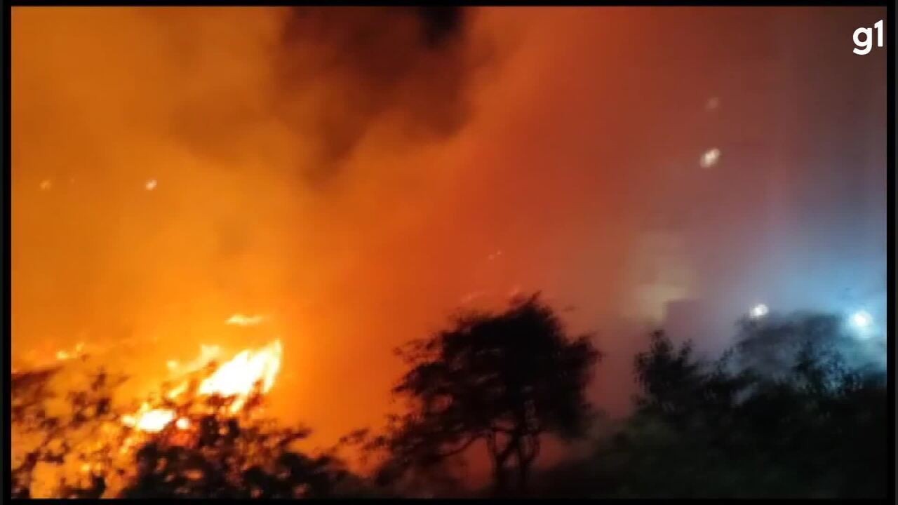 Incêndio de grandes proporções atinge área de mata em Campinas; vídeo | G1