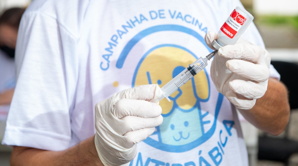 Mais de 8 mil pets são vacinados no primeiro dia de campanha contra a ...