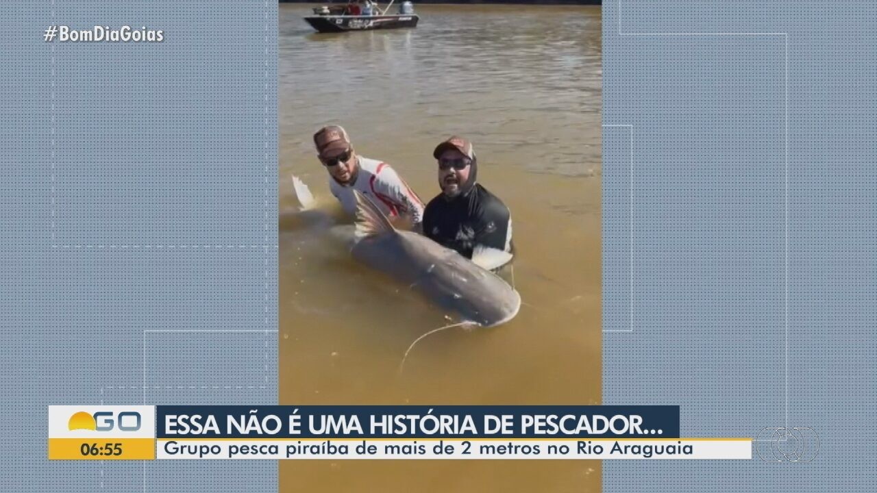 Guia de pesca fisga peixe de mais de 2 metros no Rio Araguaia; VÍDEO ...