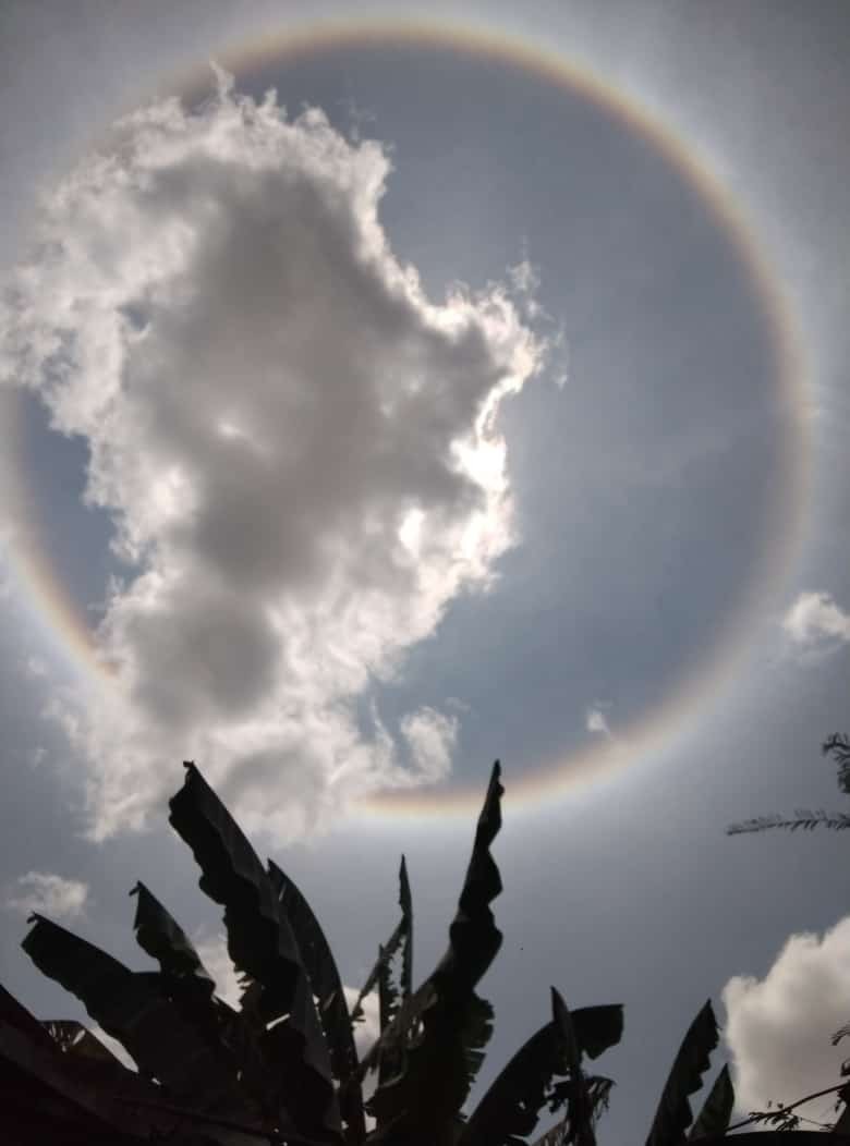 Halo solar: 'anel' que se forma ao redor do sol chama a atenção em ...