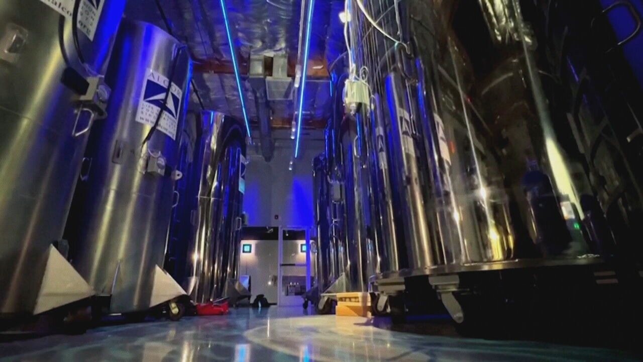 Criogenia: congelamento de corpos em busca da vida eterna funciona ...