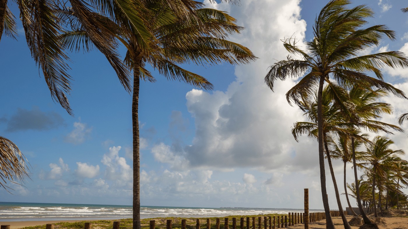 Praia do Toco Surge Como Novo Oásis no Litoral Sul | G1
