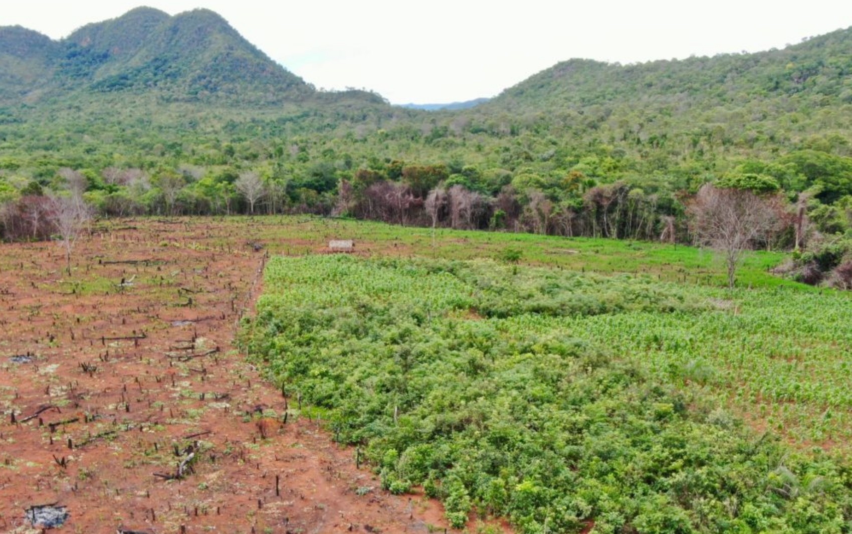 Quilombo Kalunga é reconhecido pela ONU como primeiro território no ... Quilombo Kalunga é reconhecido pela ONU como primeiro território no ...