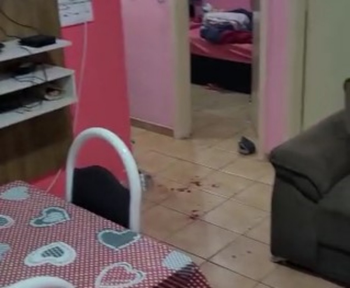 Mulher é Presa Por Suspeita De Esfaquear E Matar A Própria Mãe Na