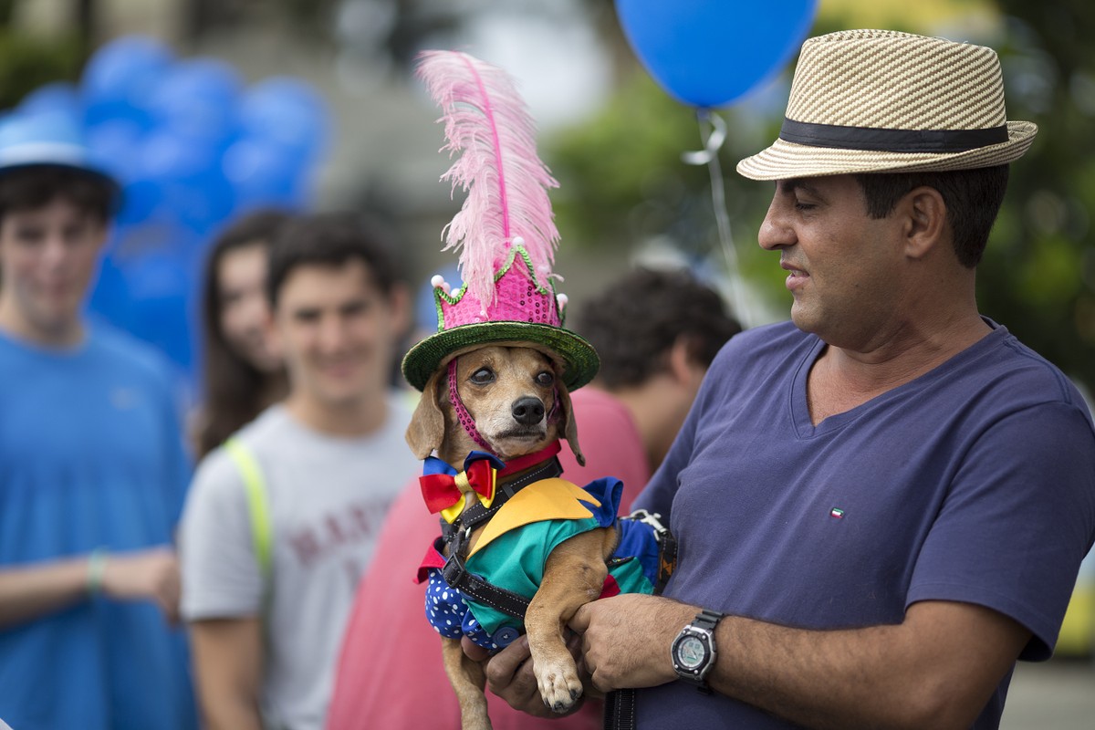 'Pets' ganham bloco de carnaval no dia 16 de fevereiro, em Manaus ...