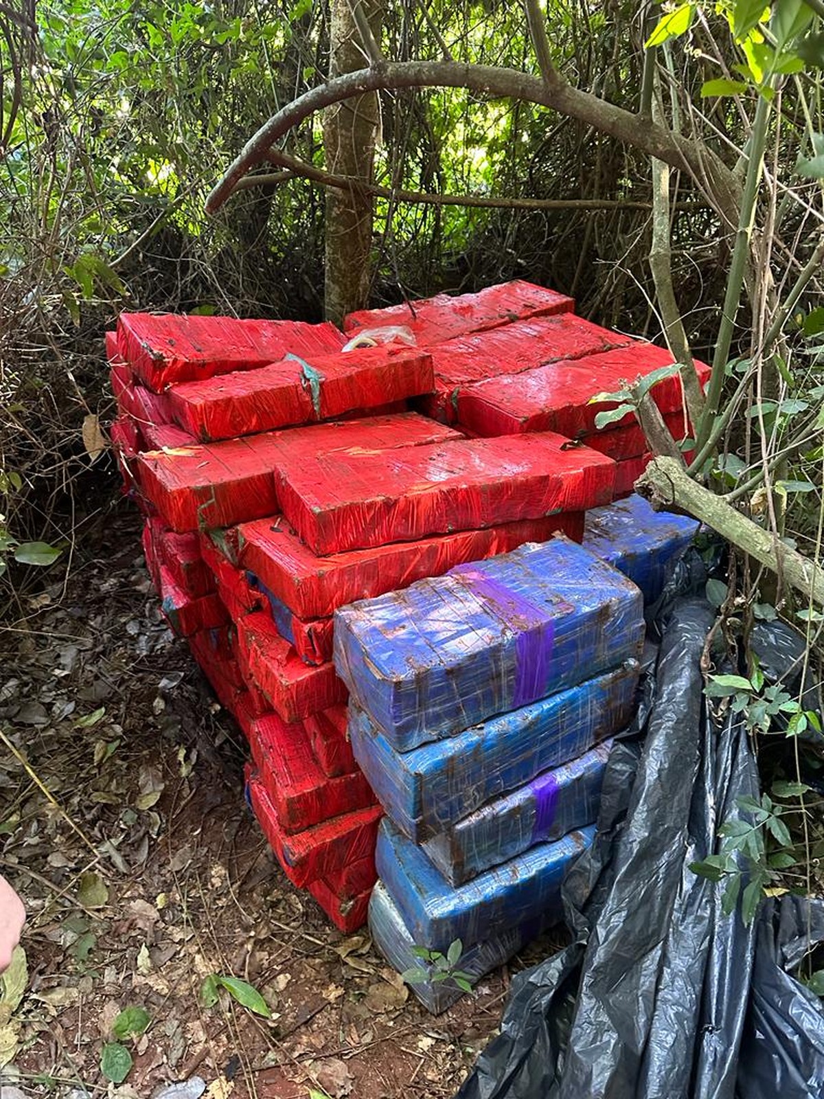 Mais de 1 tonelada de maconha é apreendida dentro de sacos plásticos em ...