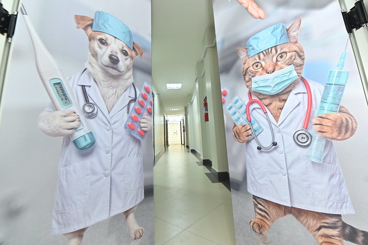 ALE-RR inova com programa pioneiro de castração e bem-estar animal em ...