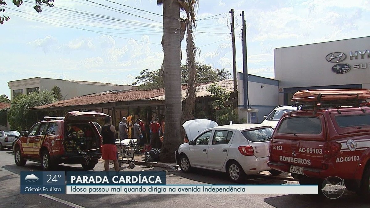 Idoso Passa Mal Ao Volante Bate Carro Em Palmeira E Morre Em Ribeirão