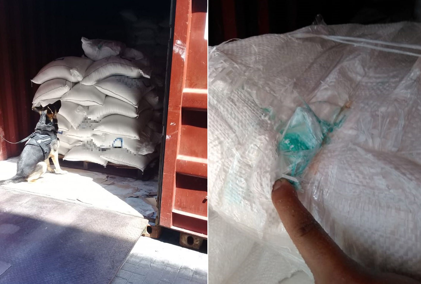 Traficantes inovam e escondem 1,5 t de cocaína em sacas de açúcar em SP ...