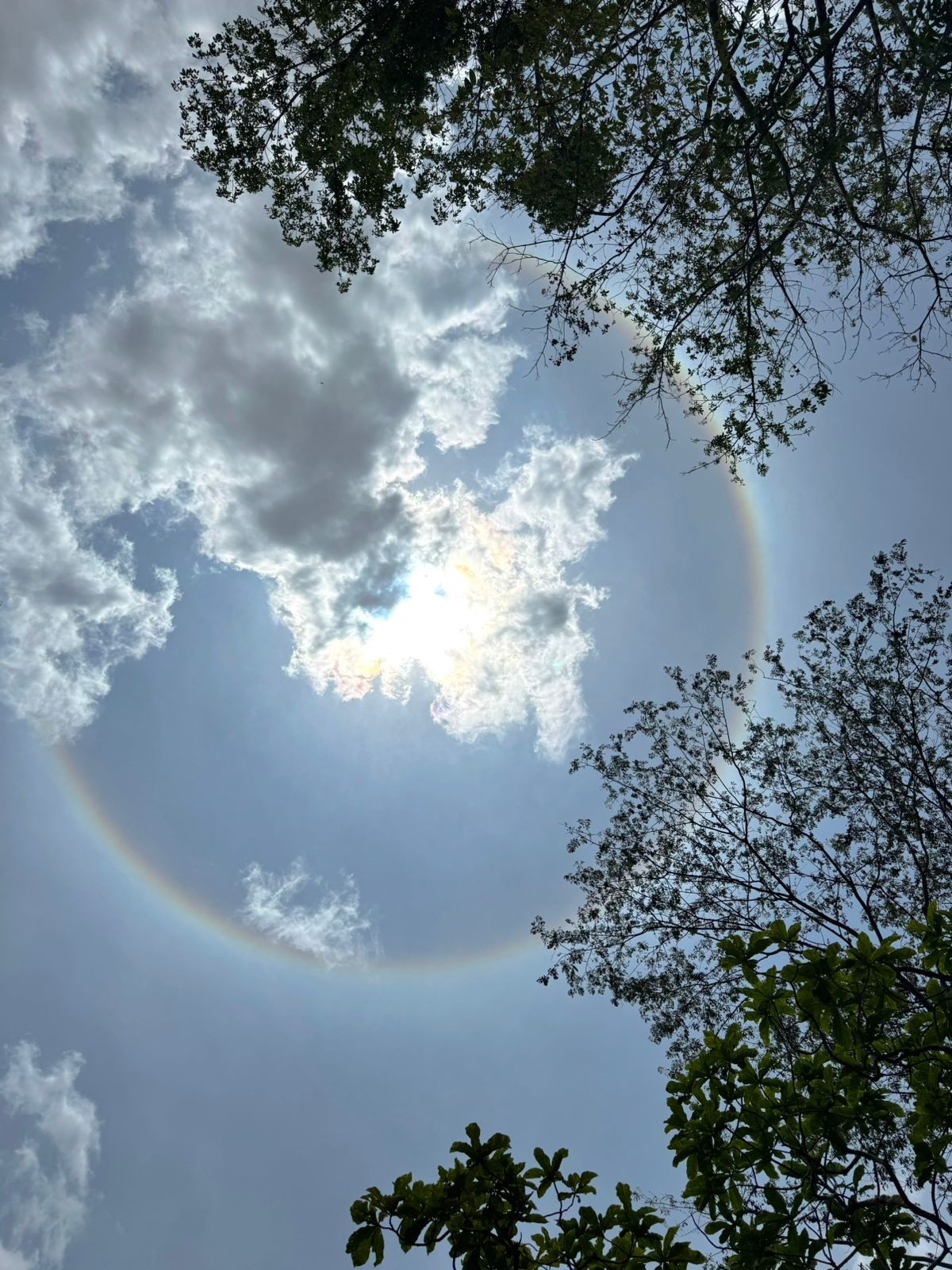 Halo solar: 'anel' que se forma ao redor do Sol chama a atenção de ...