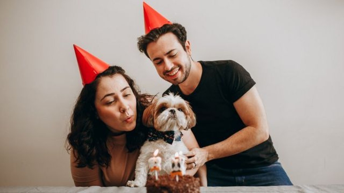 Cada vez mais brasileiros veem pets como filhos, tendência criticada ...