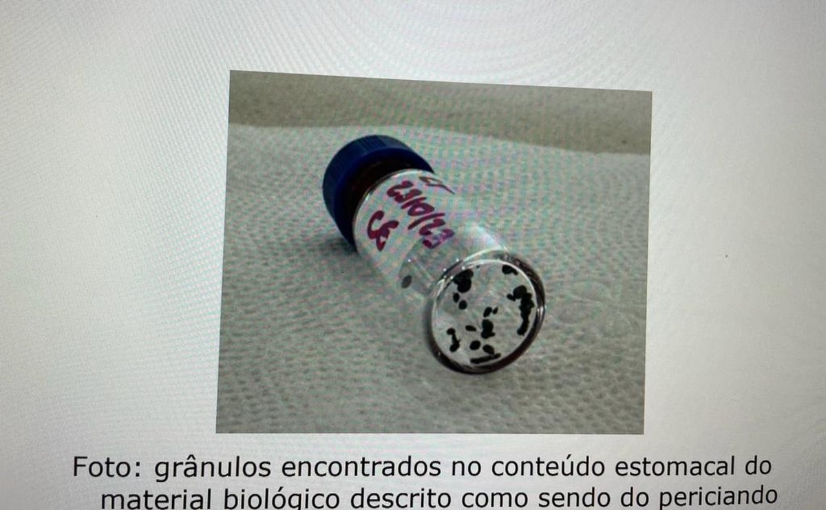 'Chumbinho': o que é o veneno usado por mulher para matar o marido de ...