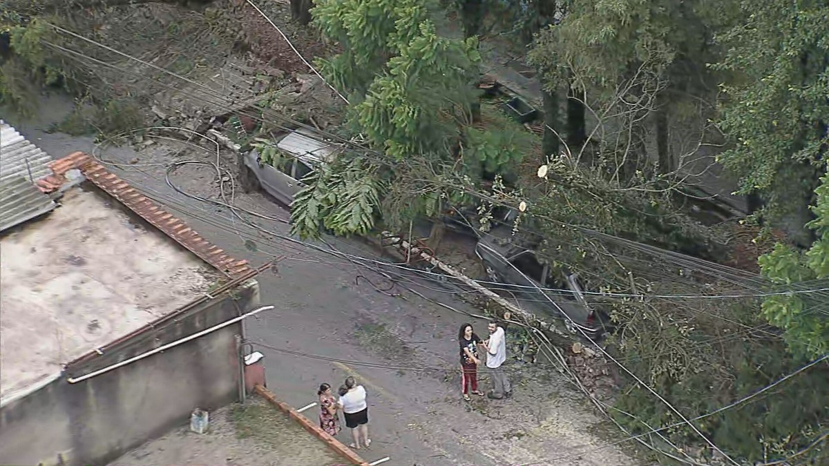 Dezenas de árvores caem após passagem de temporal na Zona Leste de SP ...