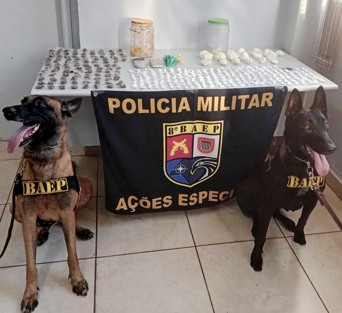 Cães Farejadores Localizam Cocaína Crack E Maconha Enterrados Em área