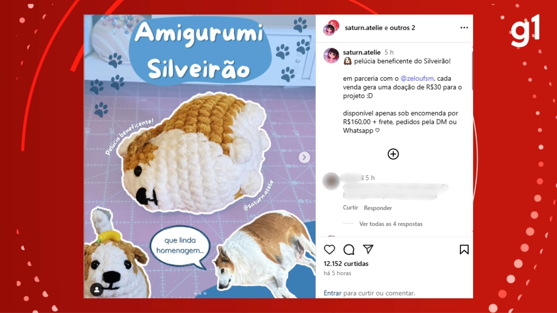Celebridade de 4 patas: cão Silveira da UFSM viraliza com memes, domina ...