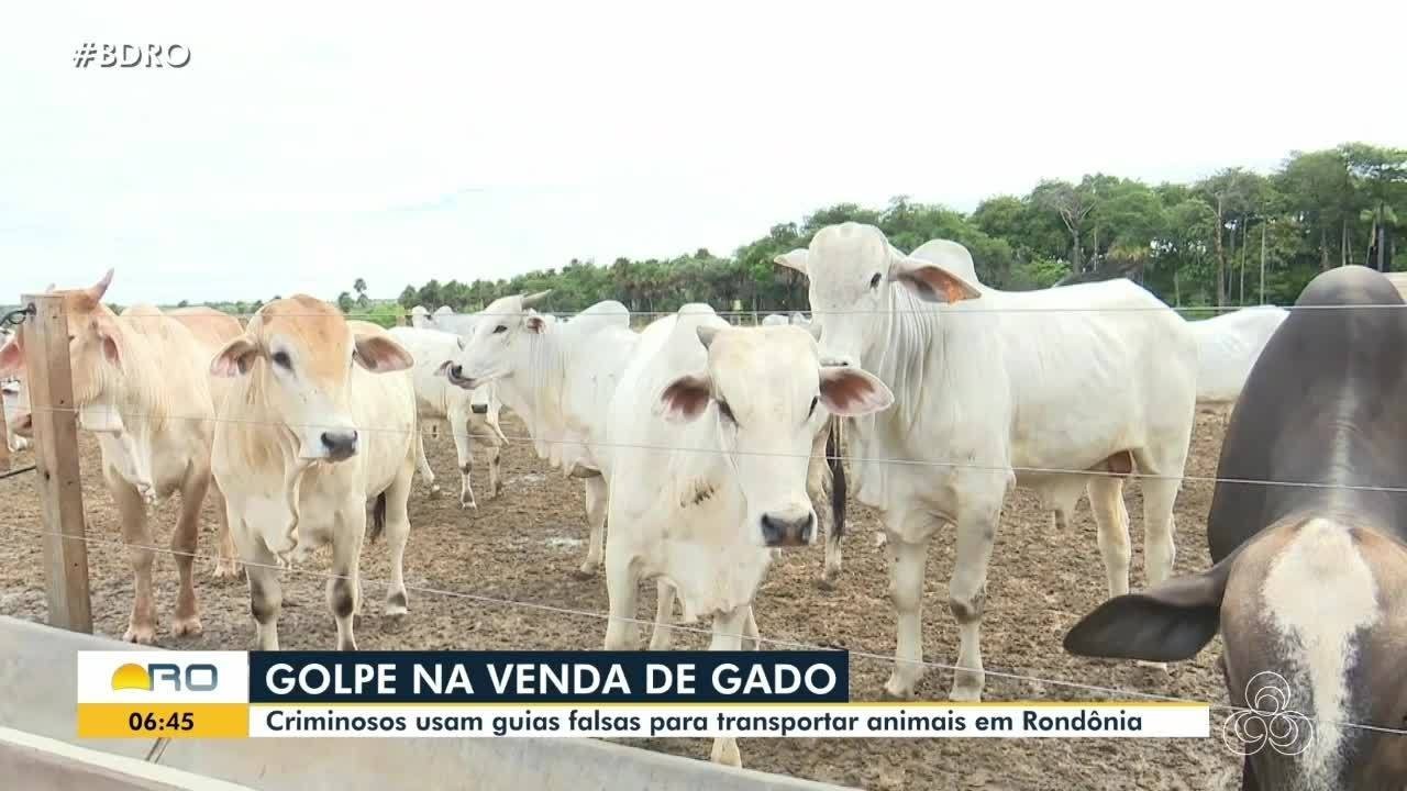Homem que se passava por pastor e aplicava golpes na compra de gado é ...