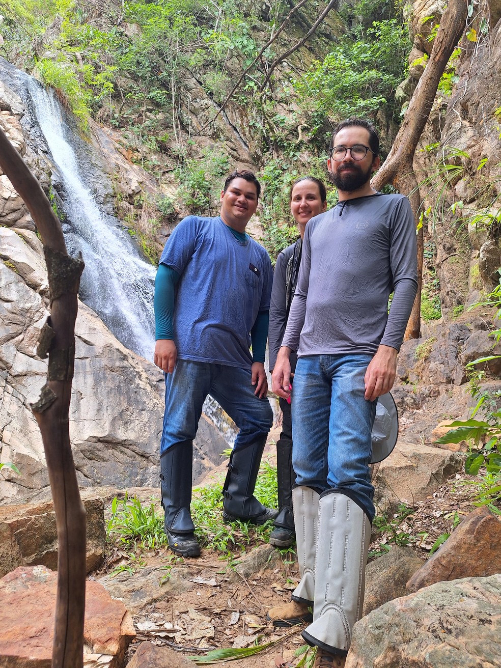 Pavonia neuropetala: conheça flor rara encontrada por pesquisadores ...