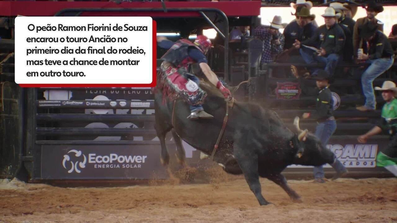 Conheça os três touros mais temidos da temporada 2024 do rodeio ...