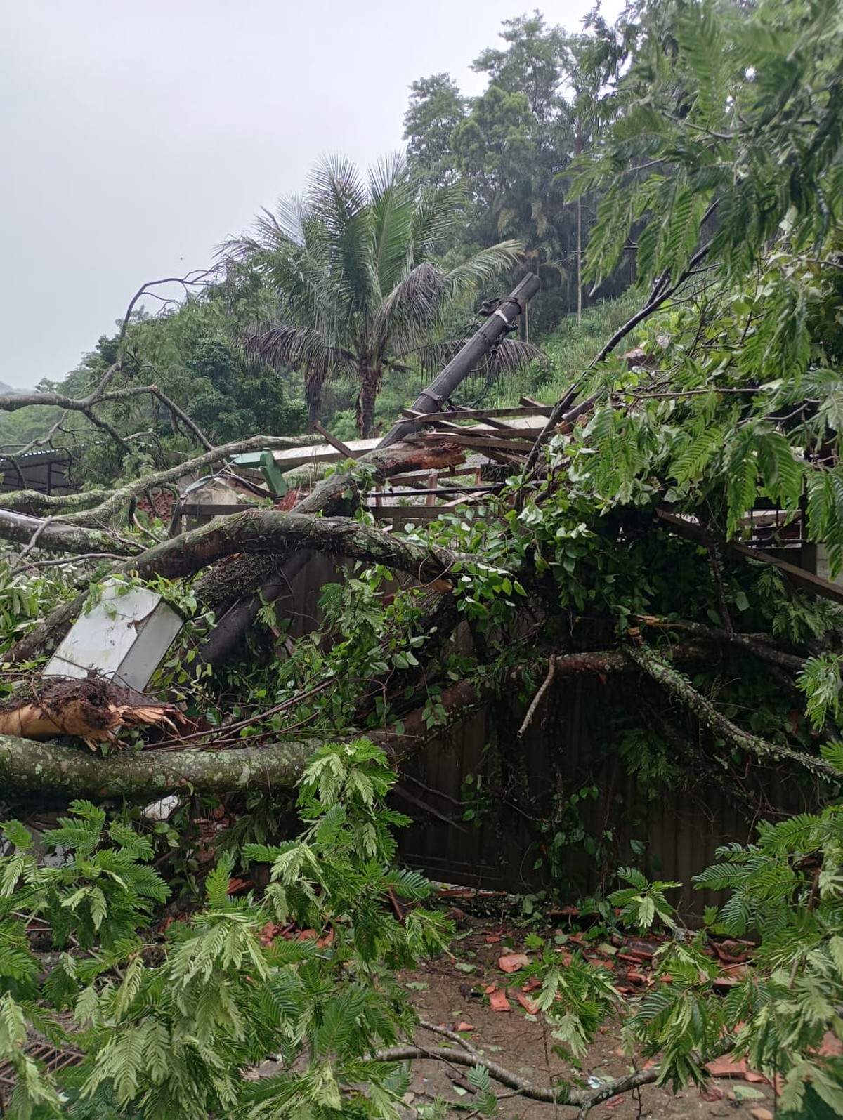 Chuva Forte Provoca Deslizamentos De Terra E Deixa Trechos Da Rj 127