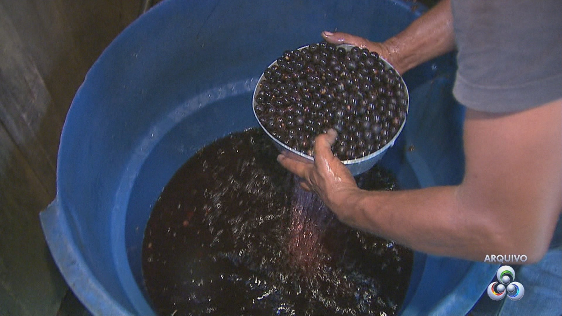 Governo veta PL que cria selo de qualidade do açaí no AC por ser ...