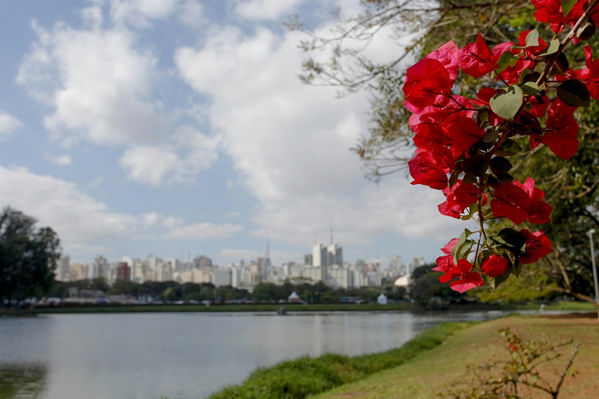 Primavera deve ter temperaturas e chuvas dentro média em SP | São Paulo ...