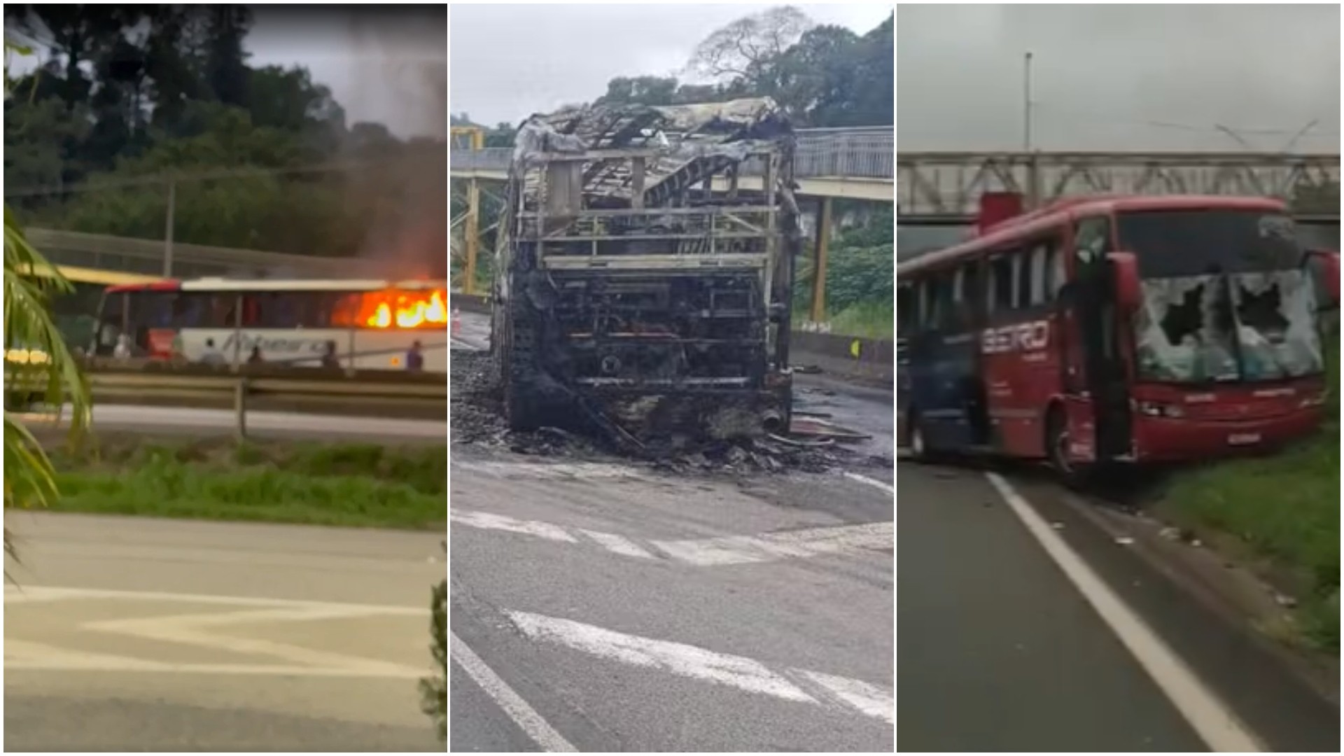Corpo de torcedor do Cruzeiro que foi morto em emboscada de palmeirenses será velado em MG
