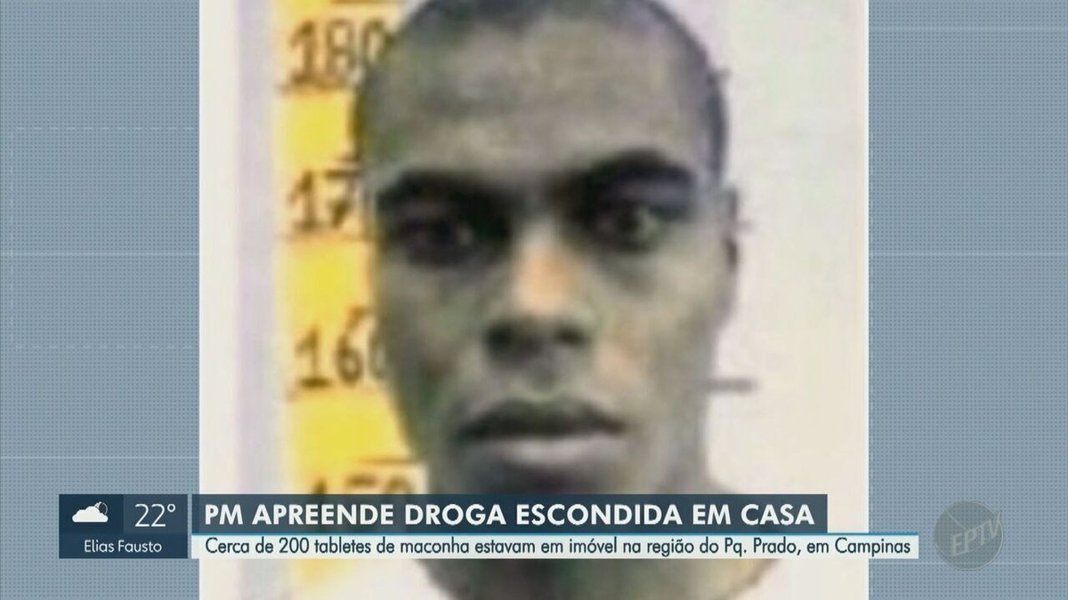 Polícia Militar apreende 200 tijolos de maconha em 'casa bomba' do ...