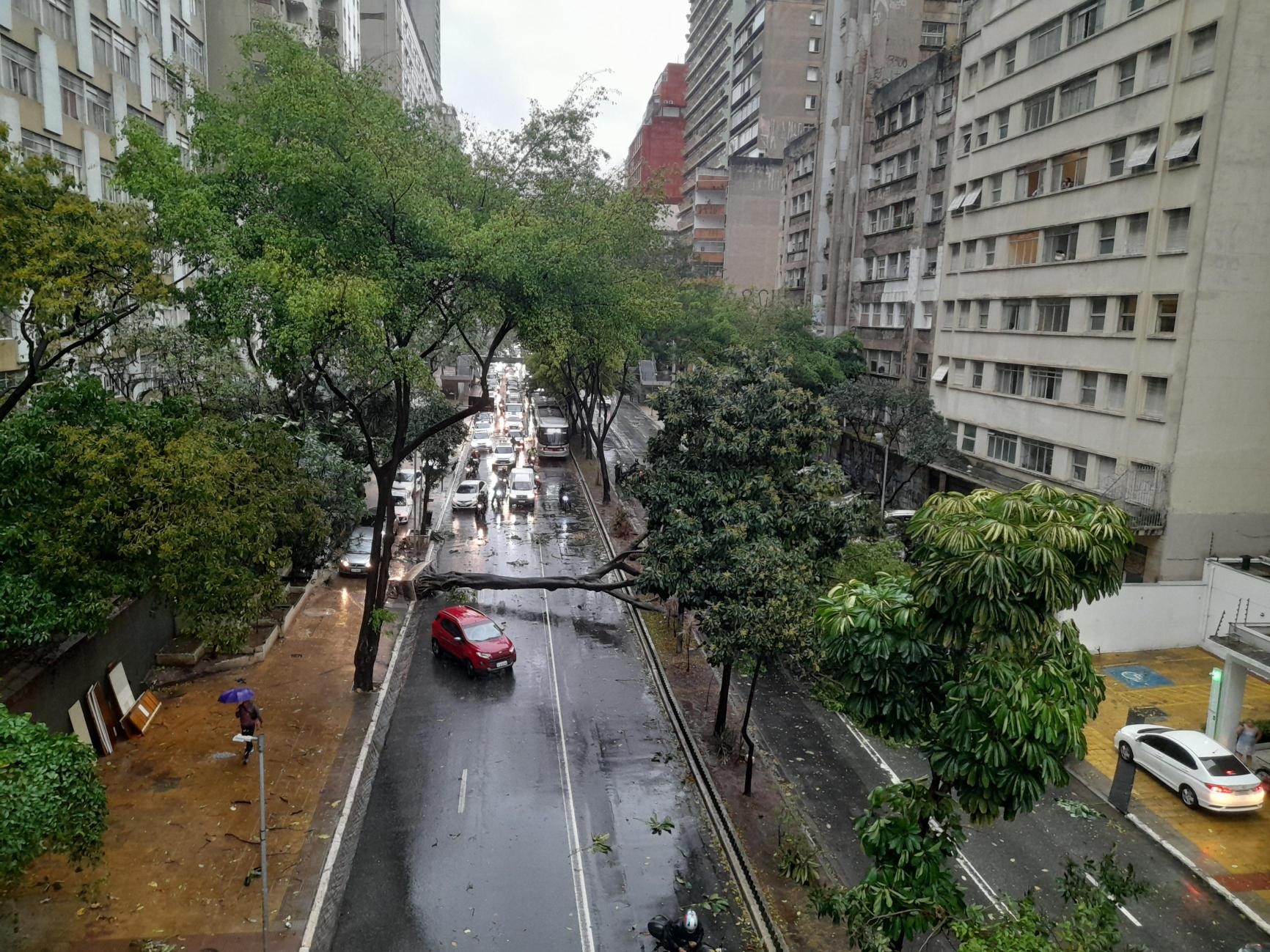 Tempestade em SP: 500 mil sem luz e 139 árvores caídas | G1