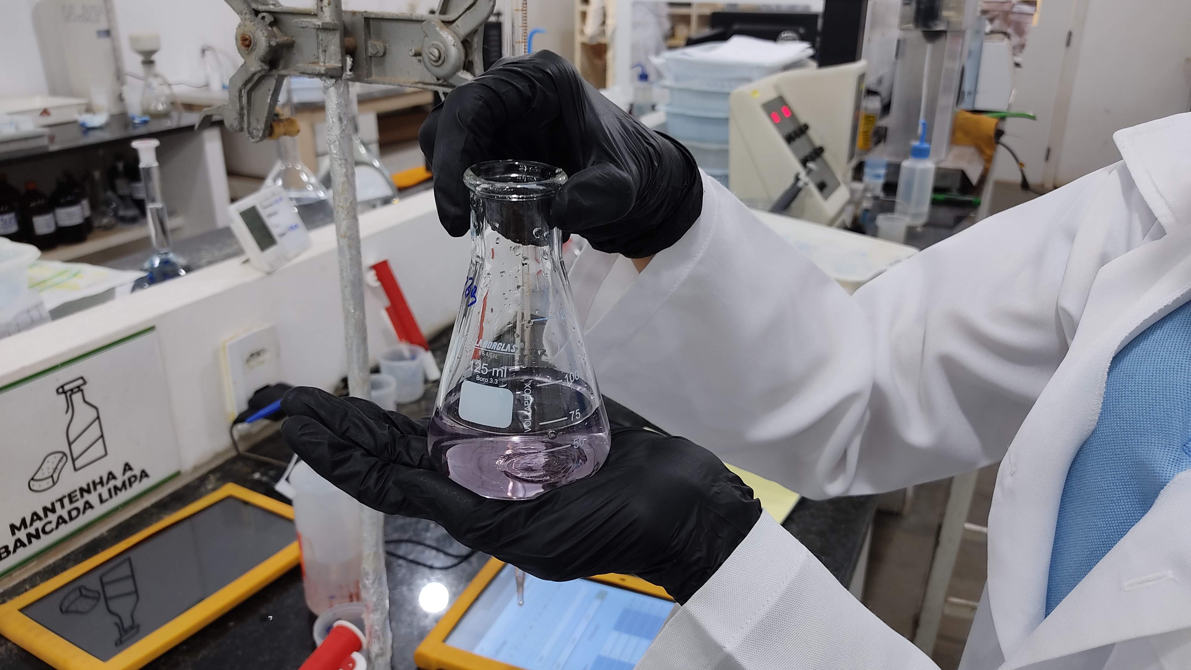 Nutrição equilibrada é fundamental para ter boa estrutura de raízes na ...