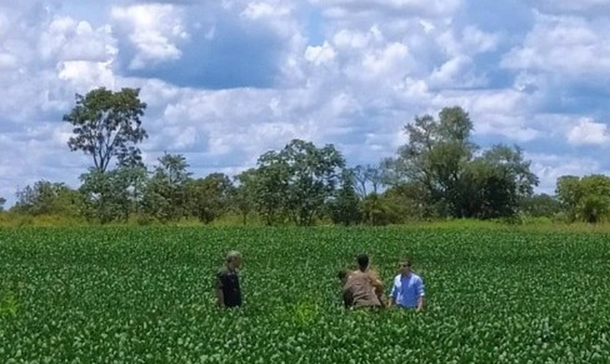 Suspeito é preso por esfaquear homem em jogo de sinuca e esconder corpo ...