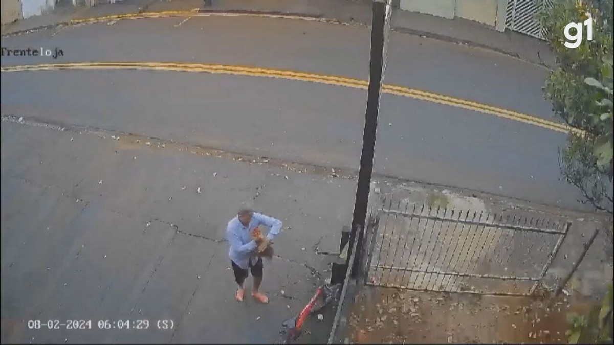 Câmera de segurança flagra homem furtando galinha em Ribeirão Preto, SP ...