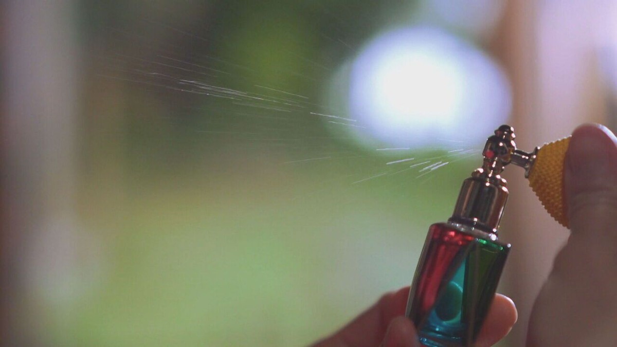 Conhecimento sobre como o olfato funciona é uma conquista recente da ...