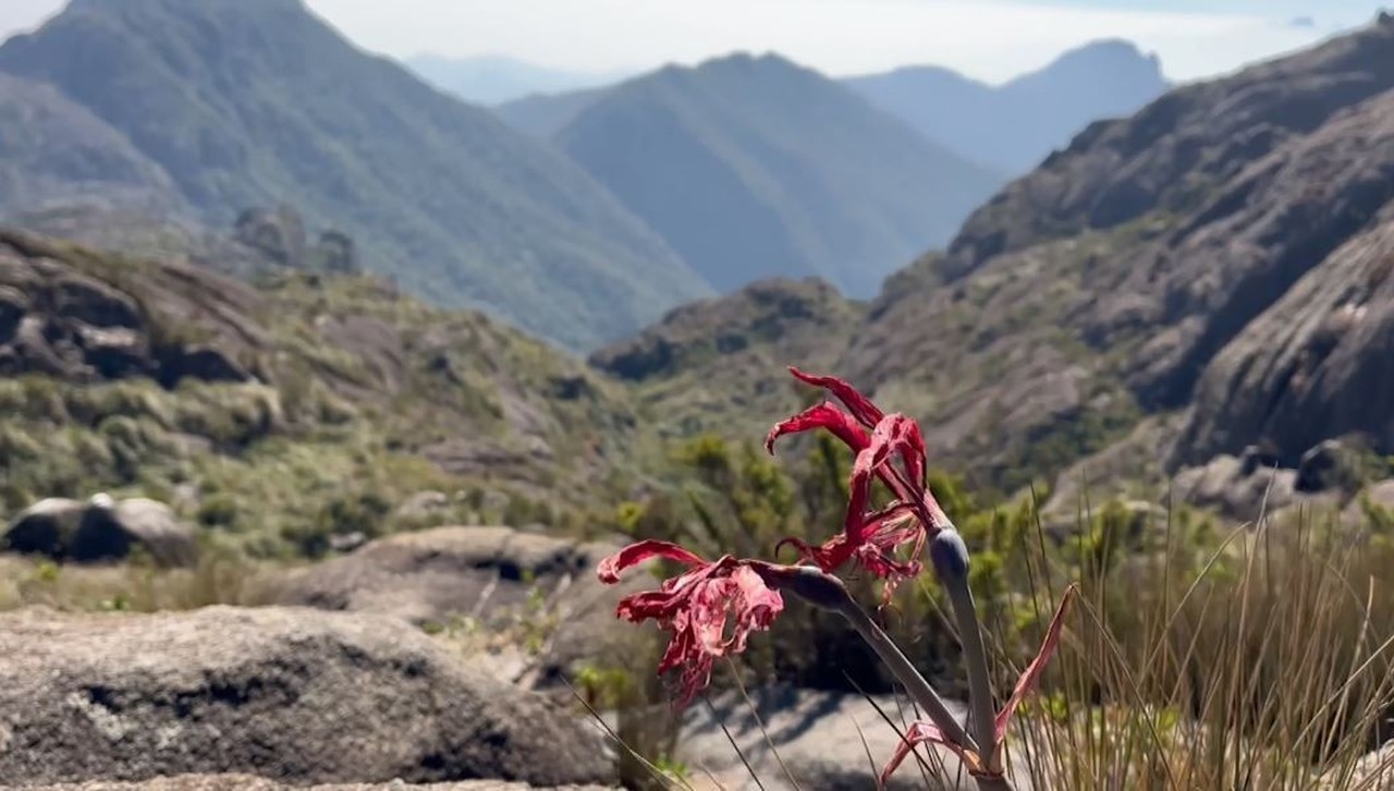 Subida no Pico dos Marins e viagem à Serra do Mar: assista ao Terra da ...