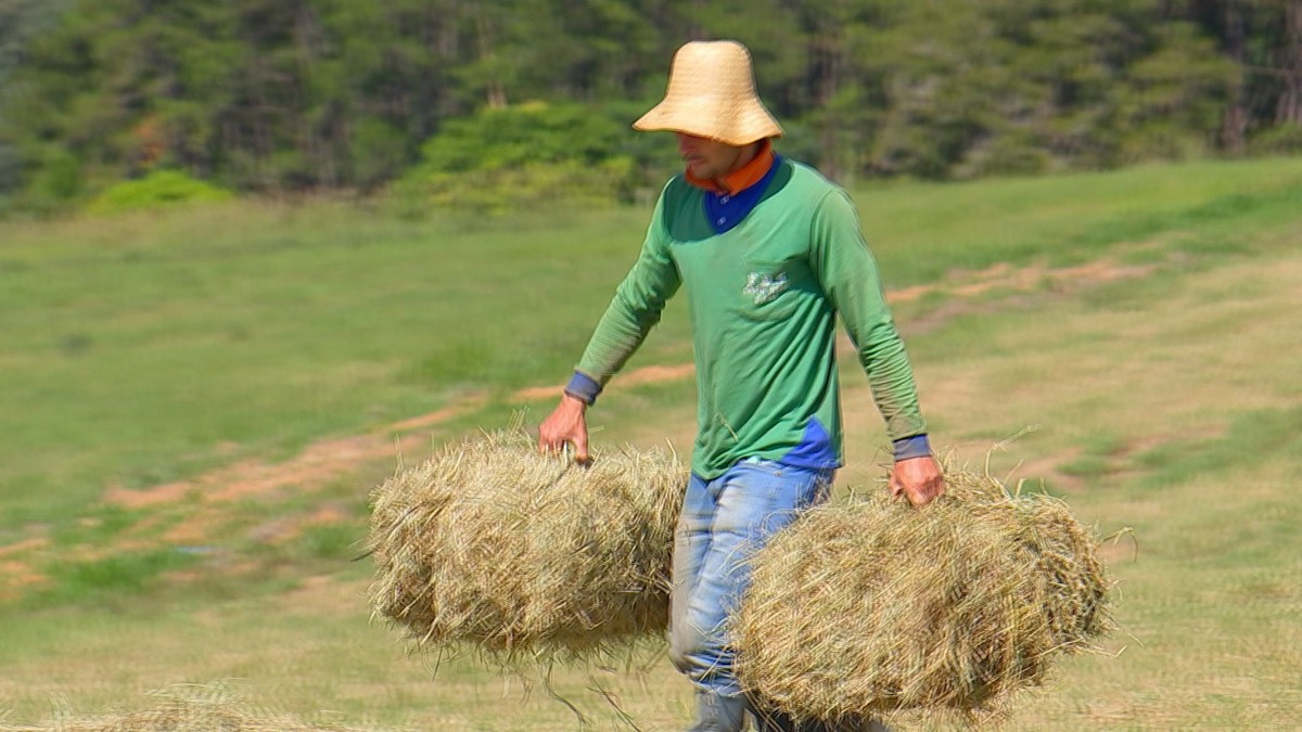 Período de estiagem aumenta procura por feno | Nosso Campo | G1