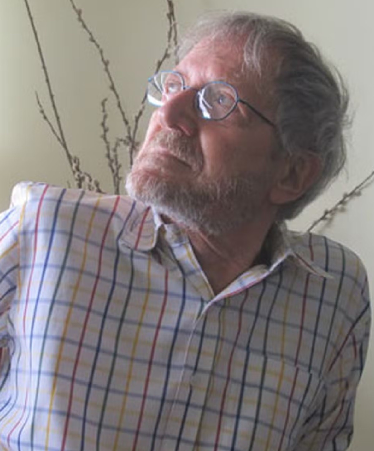 Cineasta Jean-Claude Bernardet, que morreu neste sábado, deixa livro ...
