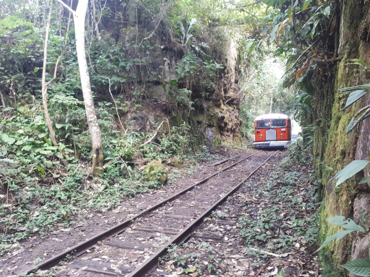 Passeios de litorina começam neste domingo, 9, em Porto Velho; ingresso ...