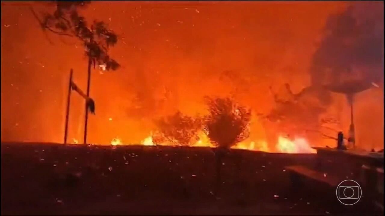 Estudo encontra ligação entre os incêndios florestais em Roraima e as ...