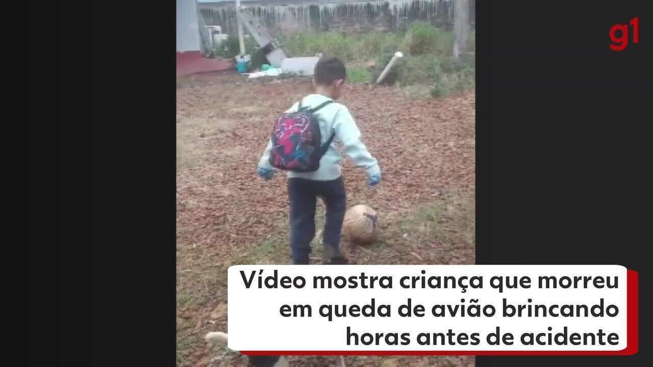 Família voltava para a Venezuela junto com cachorrinha em avião que ...