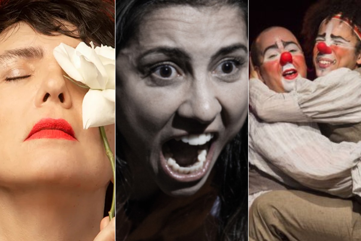 Adriana Calcanhotto, stand up, terror, shows e peças de teatro; g1 ...