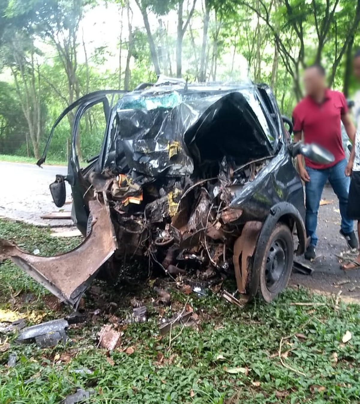 Homem morre após carro em que dirigia bater em árvore na RJ-145, em Rio ...