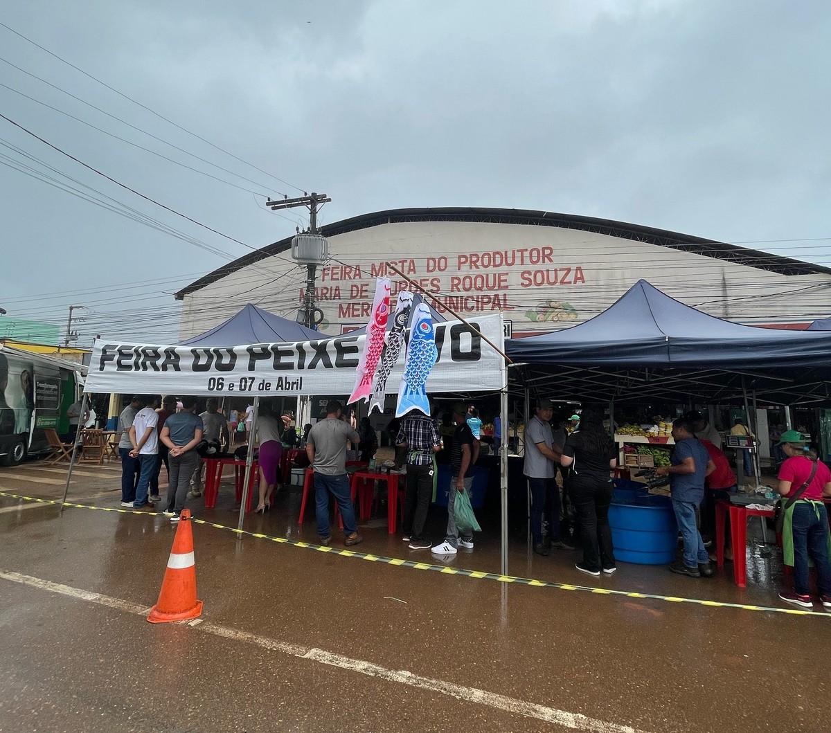 Altamira, no Pará, recebe Feira do Peixe Vivo com preços acessíveis ...