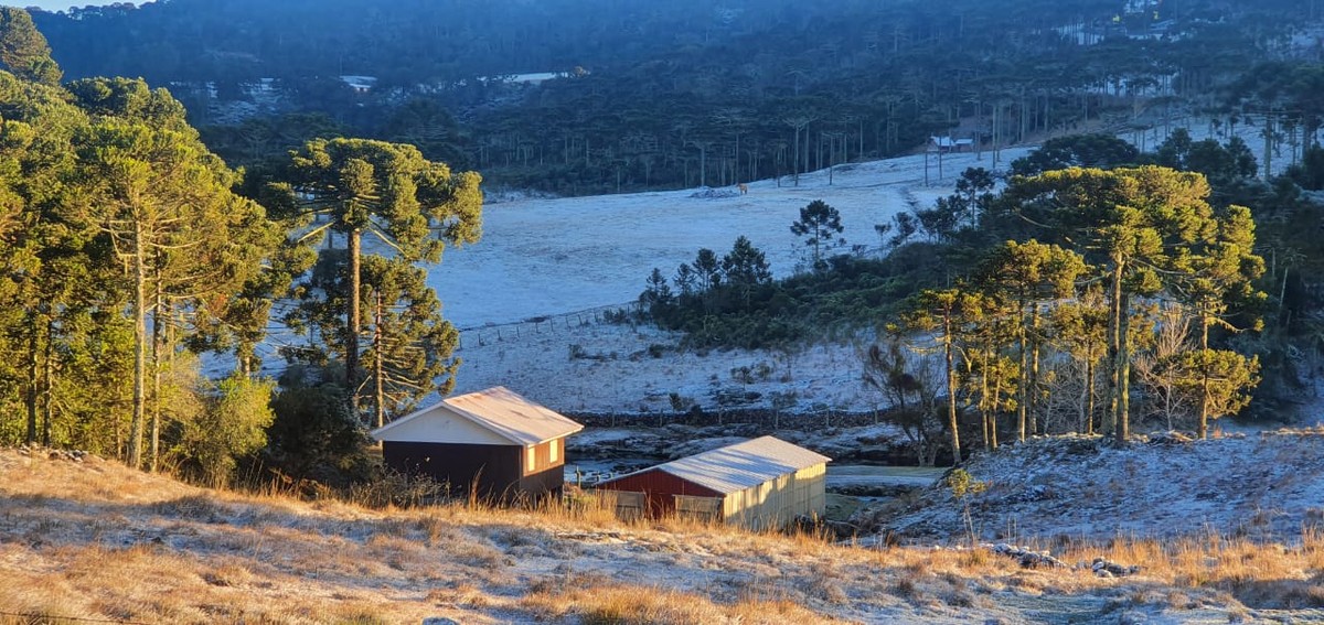 Neve em SC pela primeira vez neste ano, passagem de tornados e as mais ...