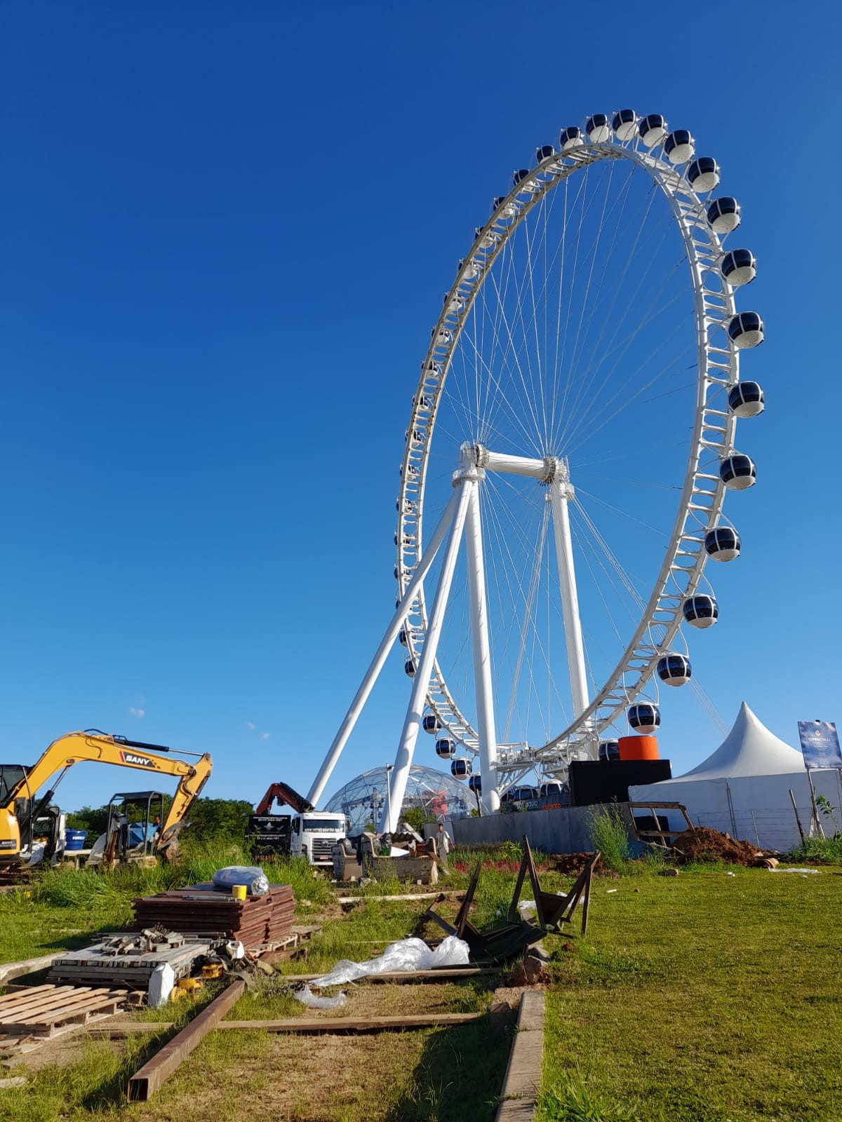 Roda Rico, a maior roda-gigante da América Latina, estreia em SP ainda ...