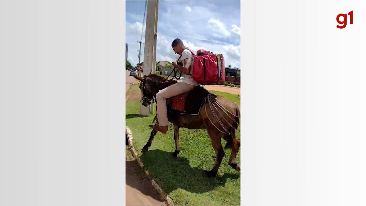 VÍDEO: entregador faz delivery montado em burro depois de perder moto ...