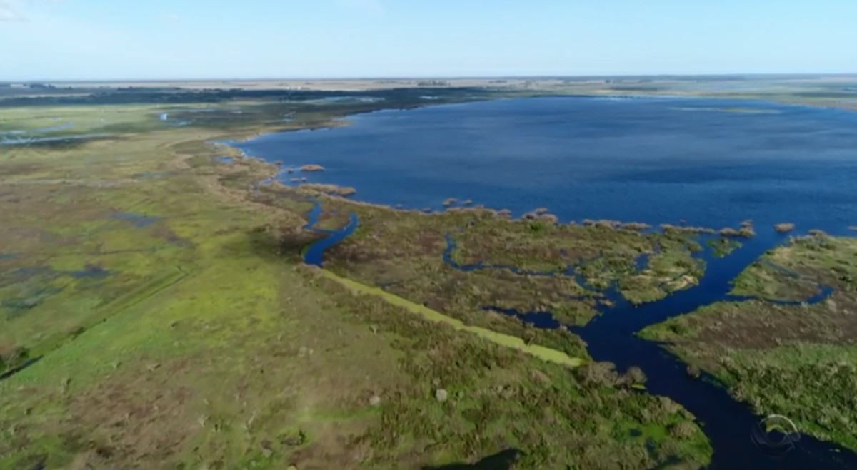 Autoridades sanitárias reforçam monitoramento de áreas próximas da ...