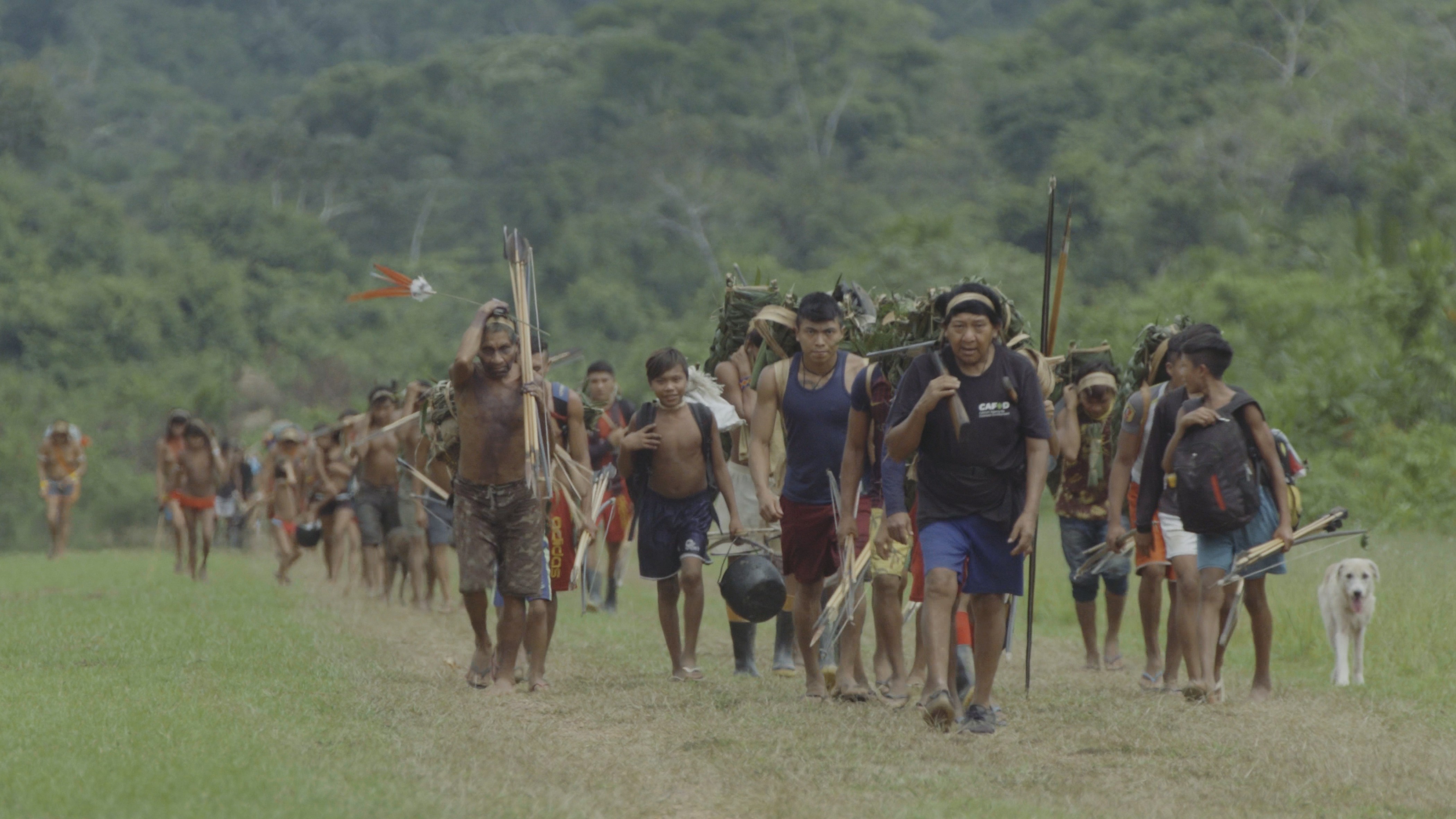Inspirado na cosmologia do povo Yanomami, filme ‘A Queda do Céu ...