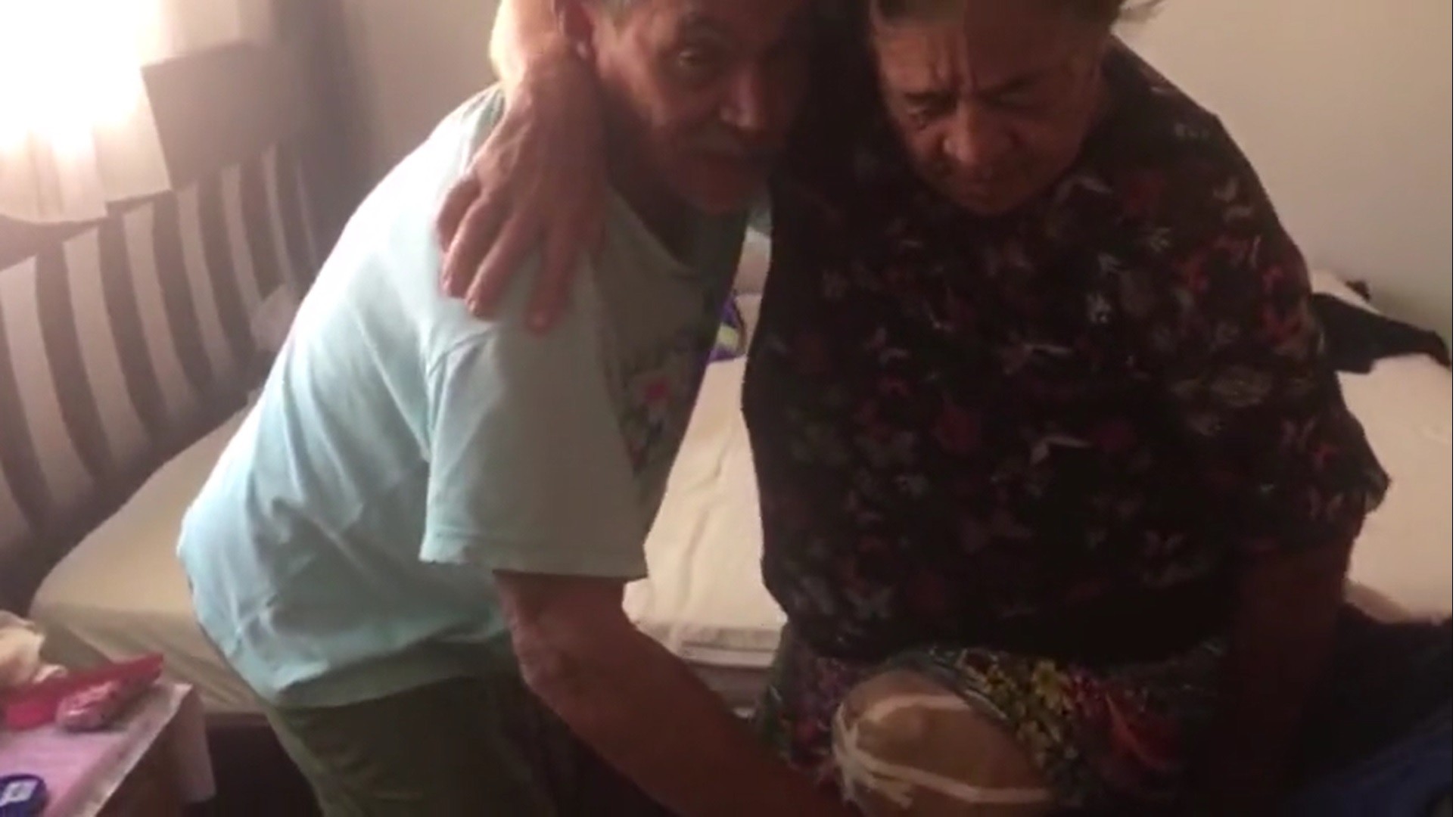 Caso de idosa que 'perdeu' perna após ser atropelada por ônibus, revela irregularidade em ...