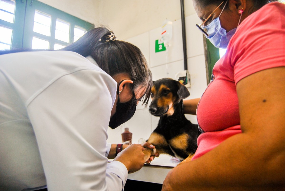 Caruaru amplia horário de atendimento da AME Animal a partir da terça ...
